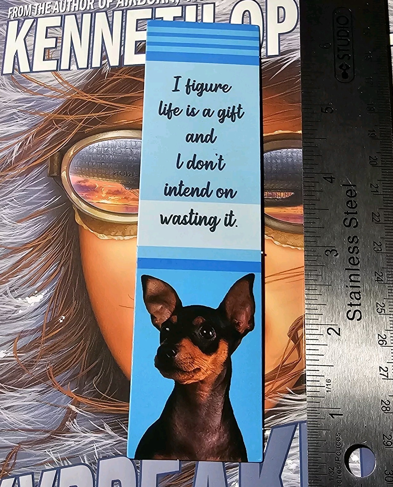 MIN PIN MINIATURE PINSCHER BOOKMARK BM#3 BOOK MARK DOG COLLECTIBLE DOGS ...
