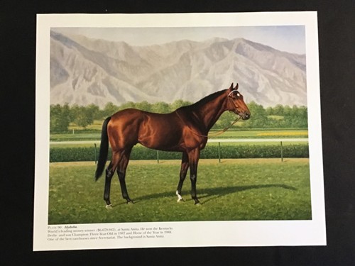ALYSHEBA Photo 15" x 11" Horse Racing 1988 HORSE OF THE YEAR | eBay