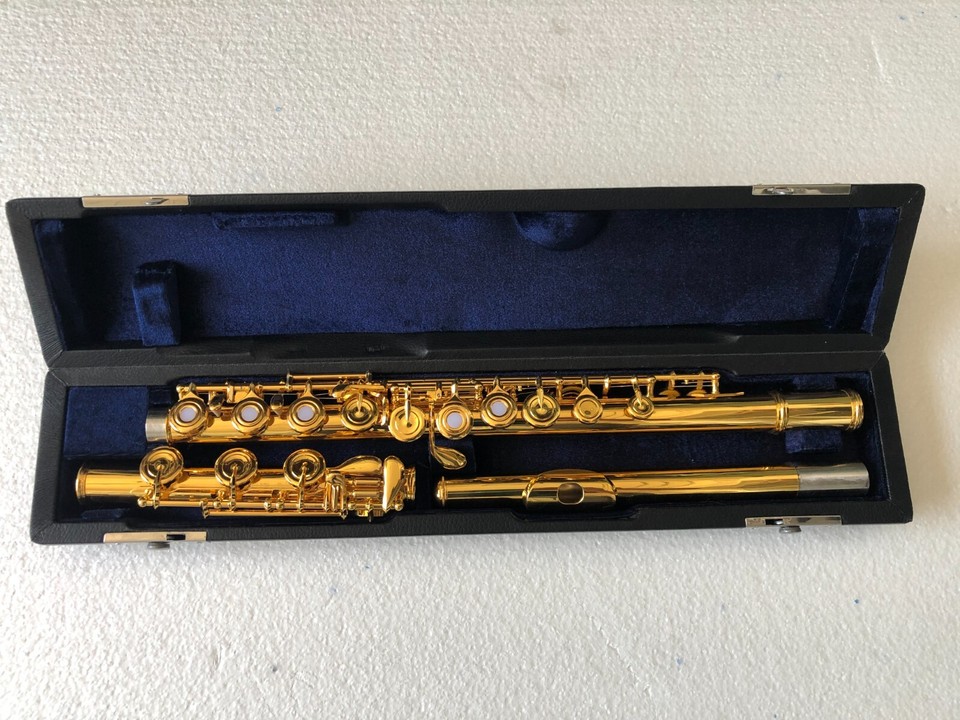 Professional 17 Open Hole 24k Gold Plated Flute E Key B Foot | eBay