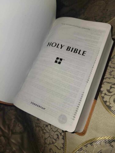 NIV Large Print Single Column Bible 2009 Edition Brown Tan Color | eBay