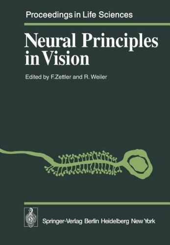 Proceedings in Life Sciences Ser.: Neural Principles in Vision by D. L ...