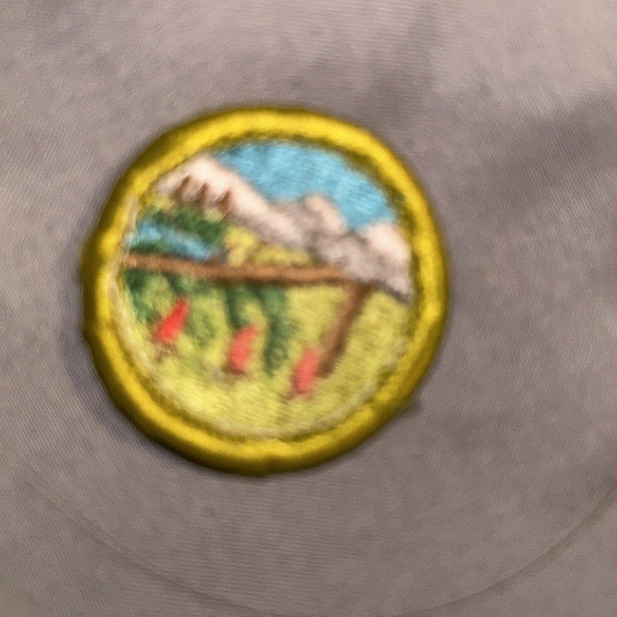 Bsa Wilderness Survival Merit Badge