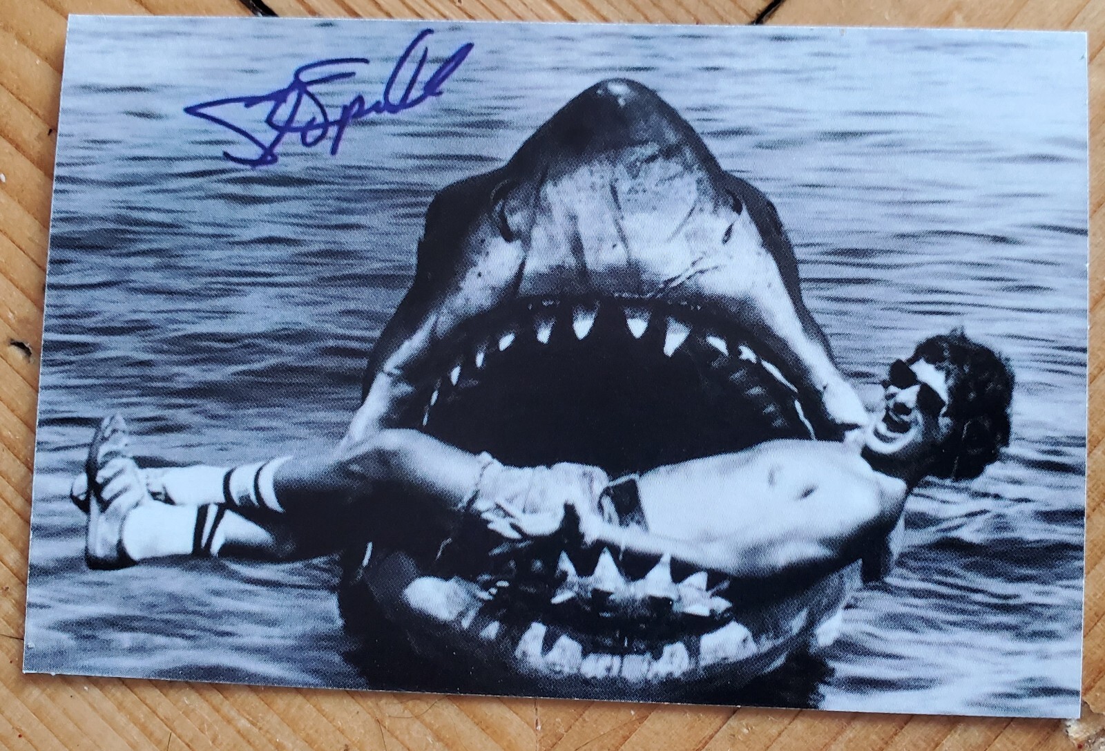 JAWS Great White Shark Silver Coin Spielberg | Grelly UK
