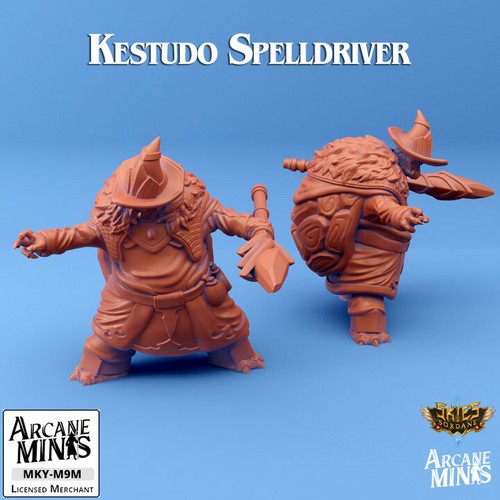 D&D Miniature Tortle Wizard Dungeons and Dragons 1 | eBay