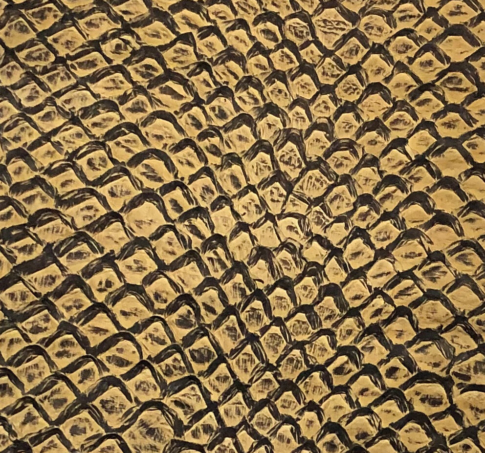 Pirarucu skin, Arapaima skin large wild (INVERTED SCALES) 12 colors | eBay