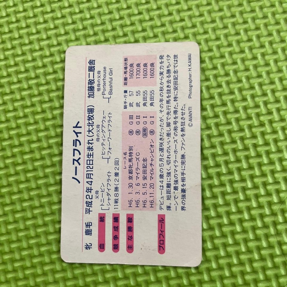 North Flight Horse Racing Trading Card 1990 Colt Bay Color Collectible ...