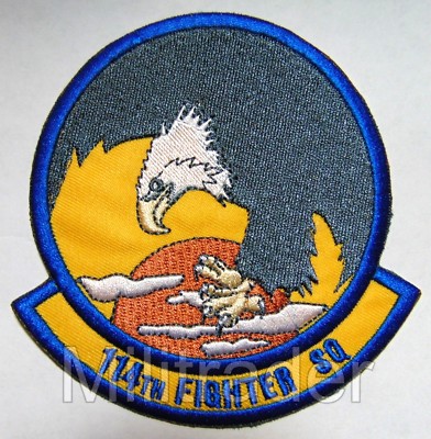 United States Air Force (USAF) 114th Fighter Squadron Patch | eBay