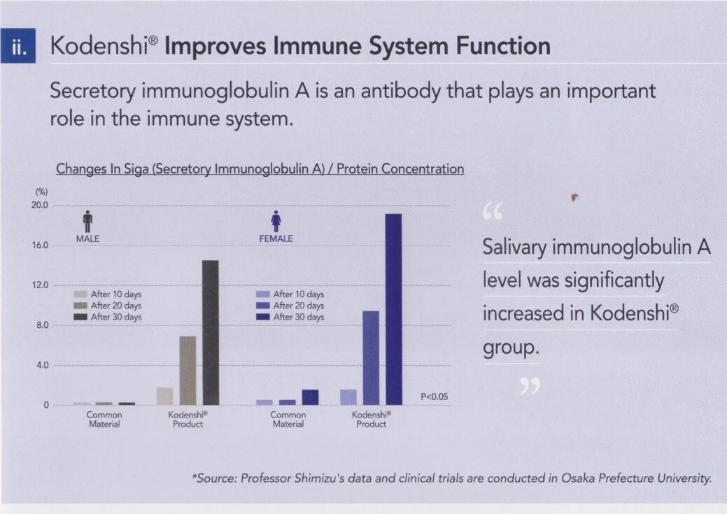 Size L - AULORA Socks with KODENSHI®️ – Far-Infrared – Improve Blood ...