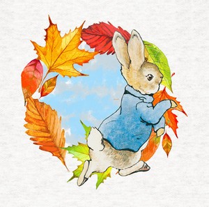 Beatrix Potter Peter Rabbit Autumn Fabric Craft Panels 100% Cotton or ...