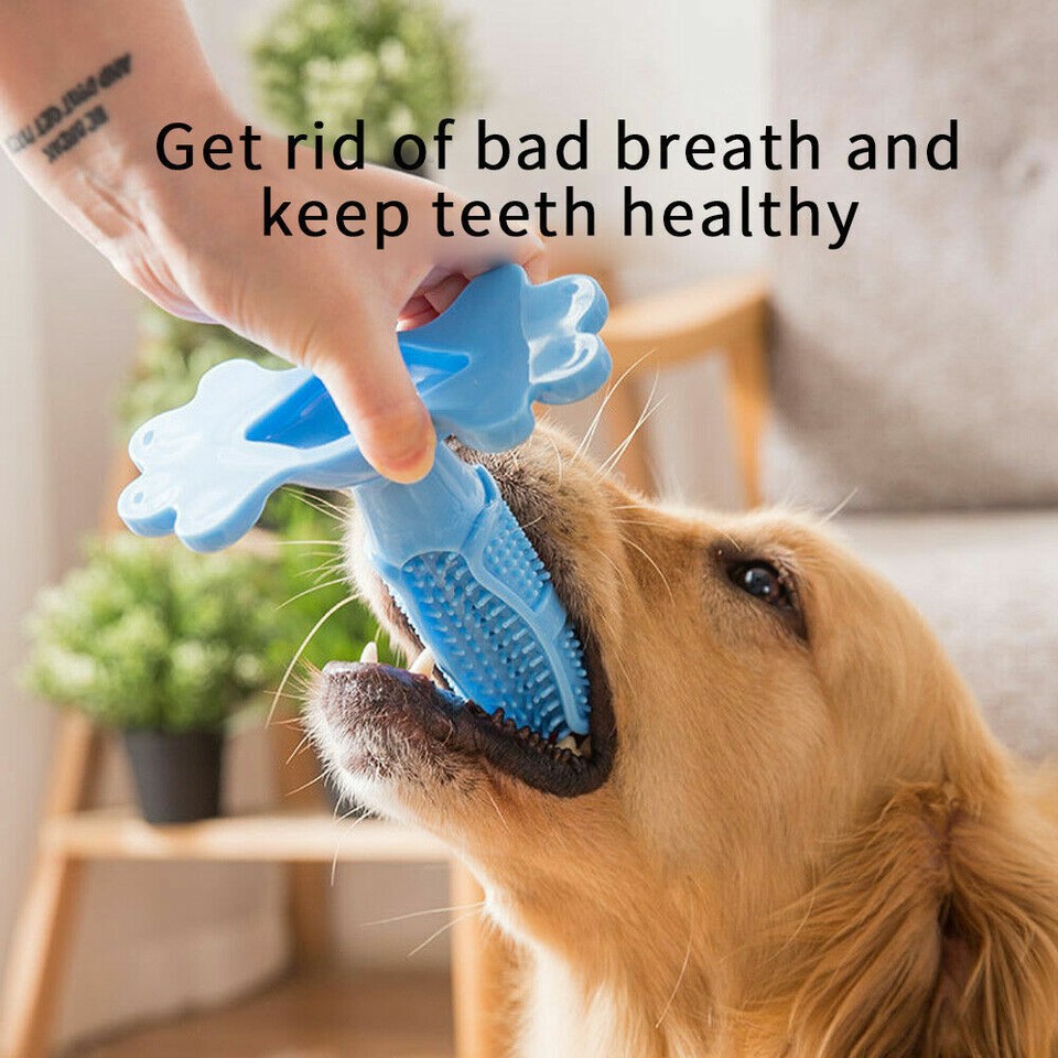 Dog Toothbrush Toy Clean Teeth Brushing Stick Pet Brush Mouth Chewing ...