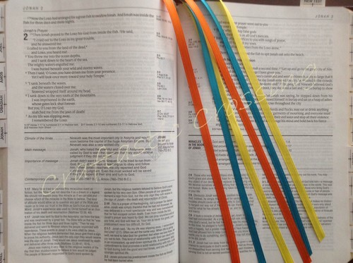RETRO bookmark ribbons Bible accessory hymnal, journal, planner book ...