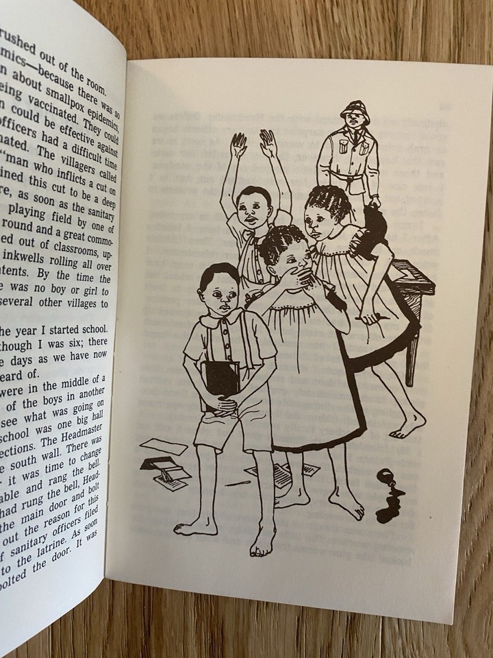 My Father’s Daughter By Mabel Segun. Illustrated By Prue Theobalds ...