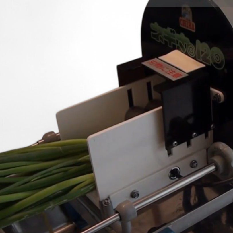 NEGIMARU CHIBA KOGYO Electric Green Onion Cutter Vegetable Slicer 100V ...