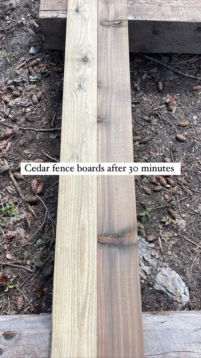 Rustic Grey Stain 6 Grey Wood Stain Colors On 5 Different Wood Species