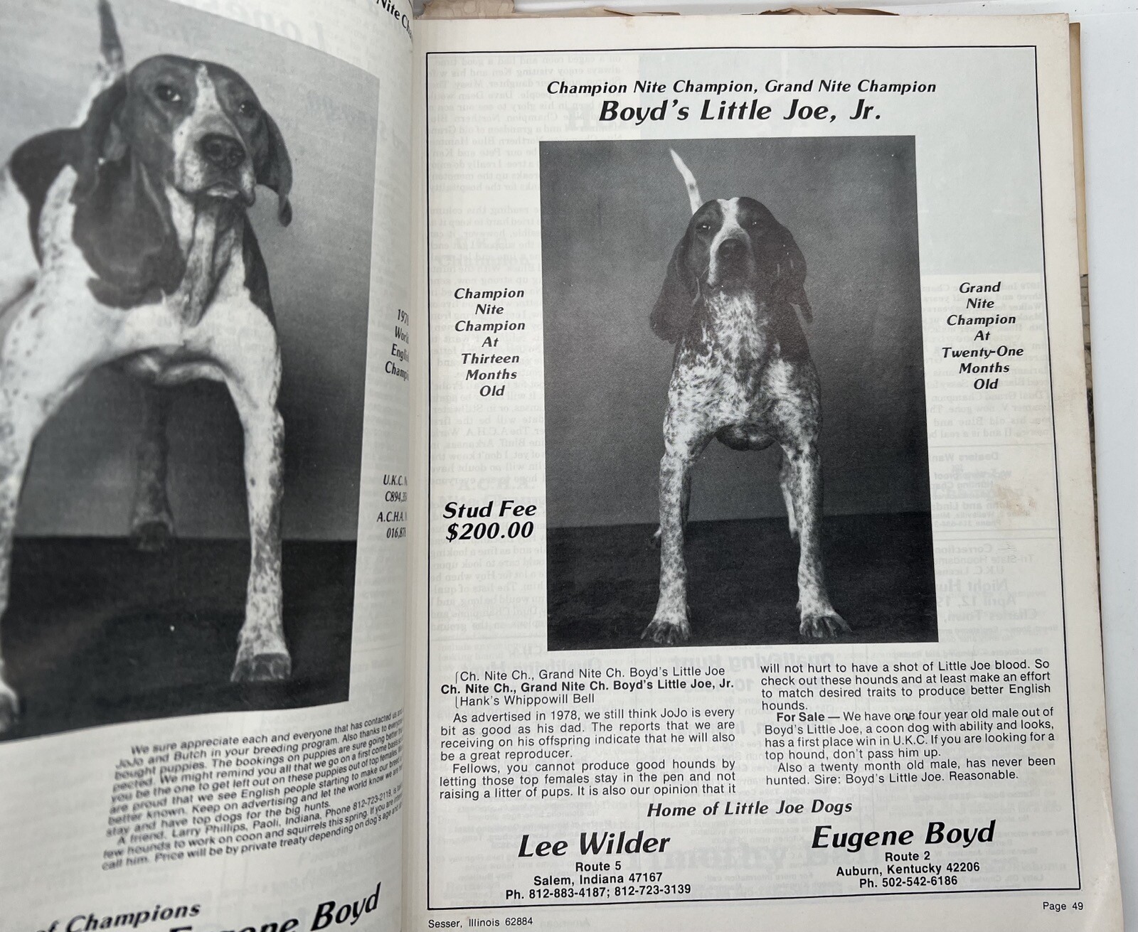 American Cooner Magazine National Tree Hound April 1980 Vol XXXIX No 4 ...