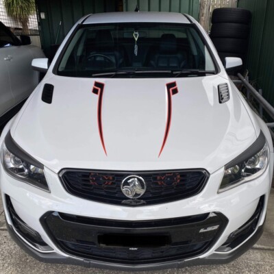 VF Sandman Inspired Bonnet Decals SS,SSV,HSV (Redback Edition) | eBay ...
