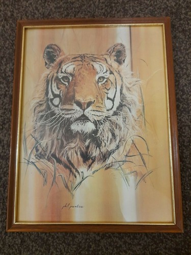 Phil Prentice Tiger Painting (A4 Size ) | eBay UK