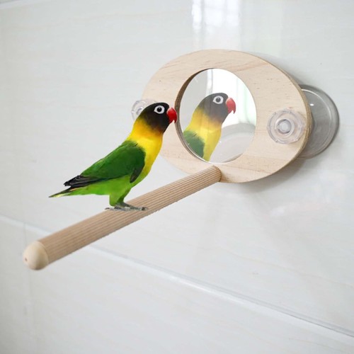 Parrot Mirror Toys Play Hanging Mirror Toys for Canaries Lovebirds ...