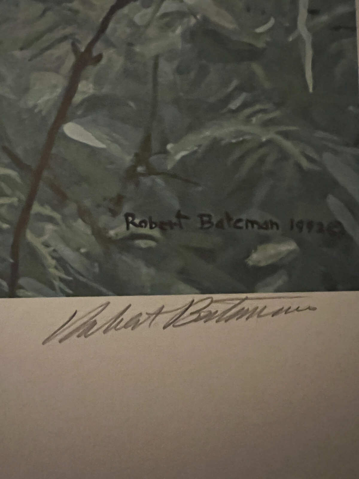 Robert Bateman signed print, "Intrusion - Mountain. Gorillas" | eBay