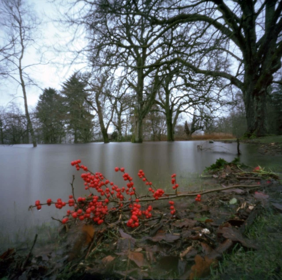 Pinhole Printed A1 DIY Camera Pinhole Shutter, Pinhole Included | eBay