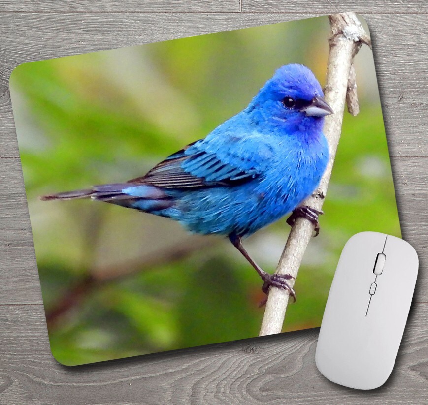 Indigo Bunting ~ Mouse Pad / Mousepad ~ Bird Watching Feeder Birding ...