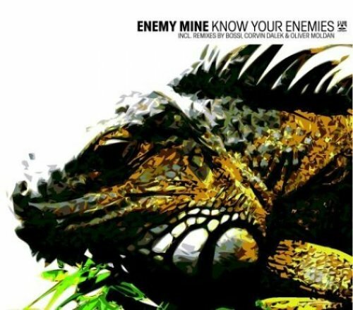 Enemy Mine (Maxi-CD) Know your enemies (2001) | eBay