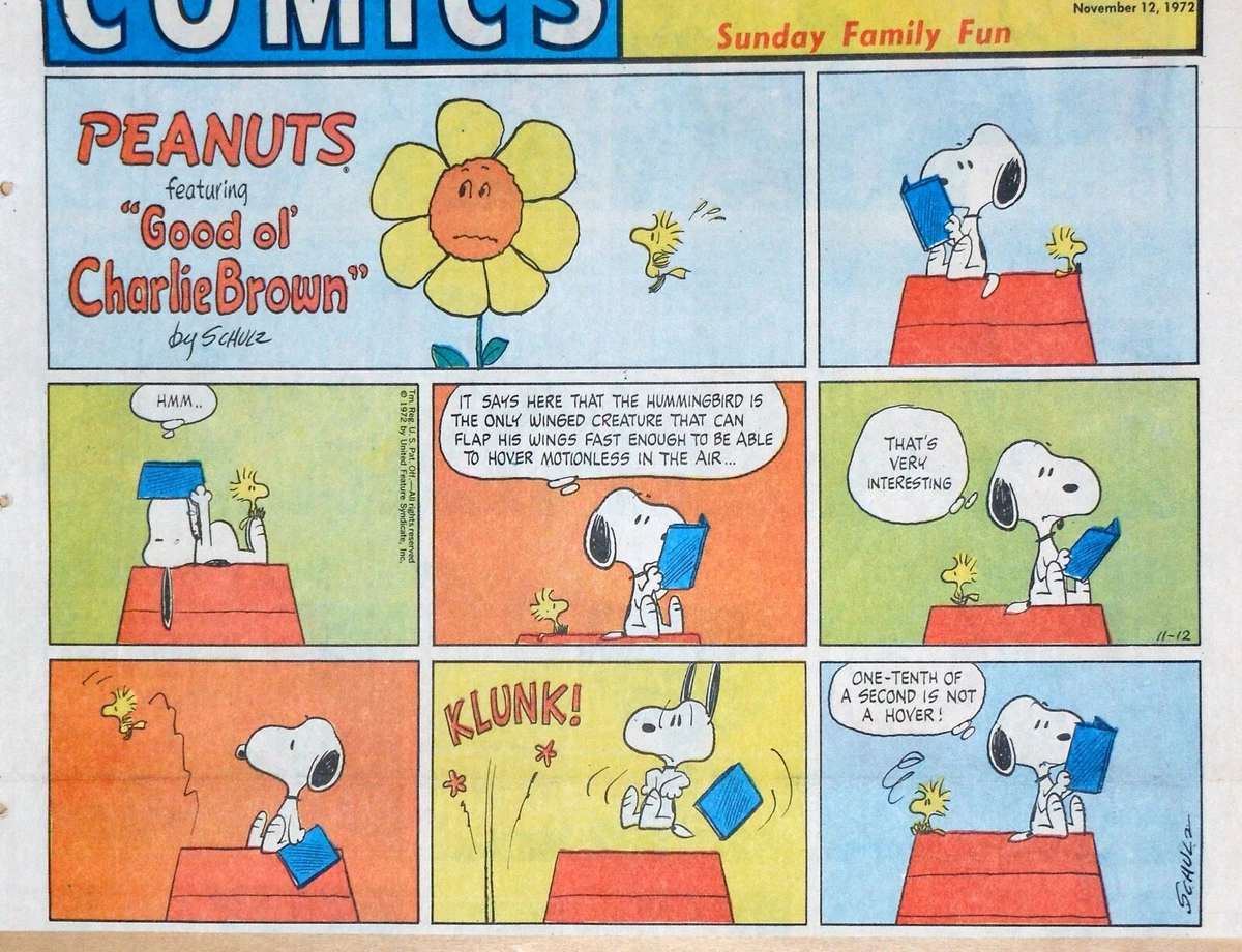 Charlie Brown Comics In Color