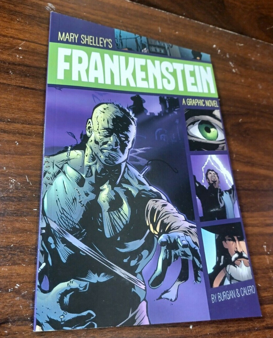Frankenstein: The Graphic Novel [Book] Graphic Novel, Paperback-NEW ...