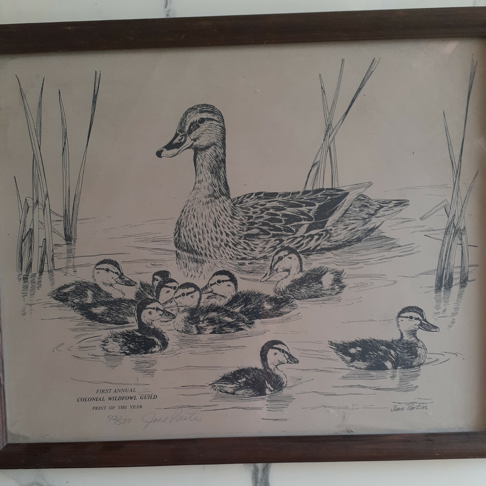 JANE PARTIN SIGNED 72/500 COLONIAL WILDFOWL GUILD OF VIRGINIA: Print of ...