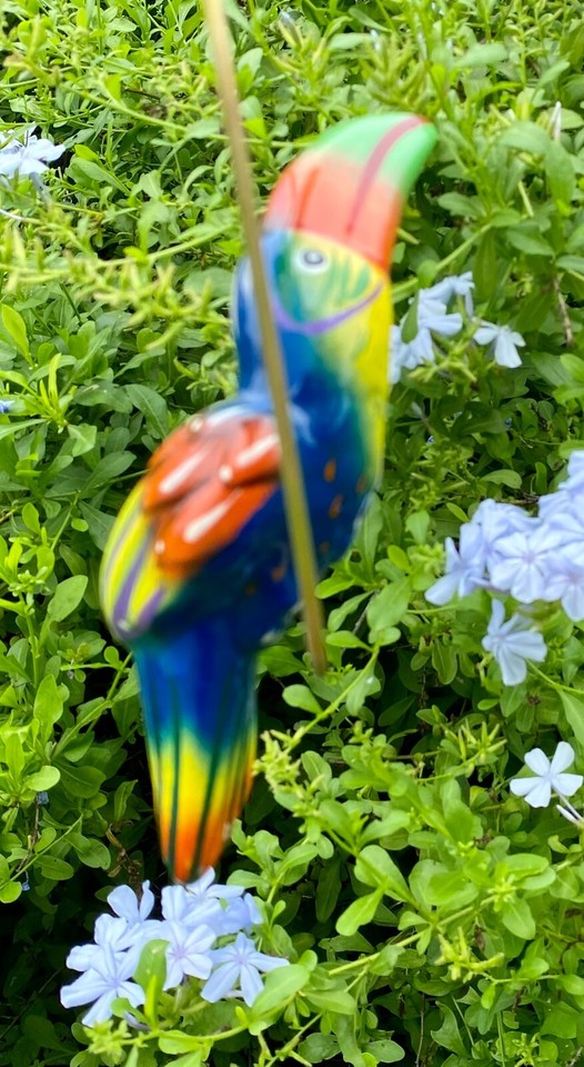 Talavera Bird Handmade Painted Ceramic Parrot Mexican Pottery Hanging ...