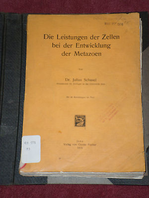 Leistungen der Zellen Entwicklung Metazoen Julius Schaxel German ...