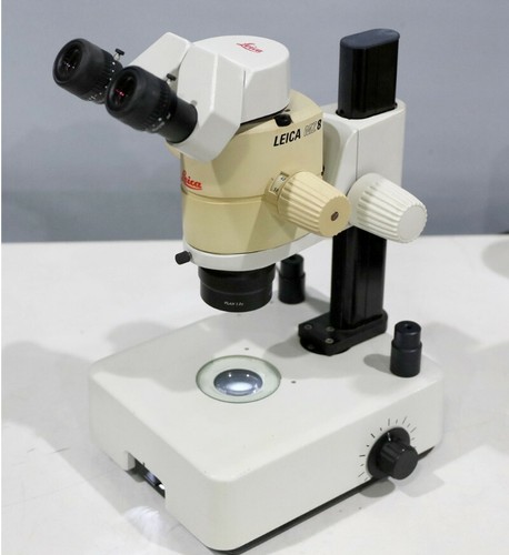 Leica MZ8 [#B1] | eBay