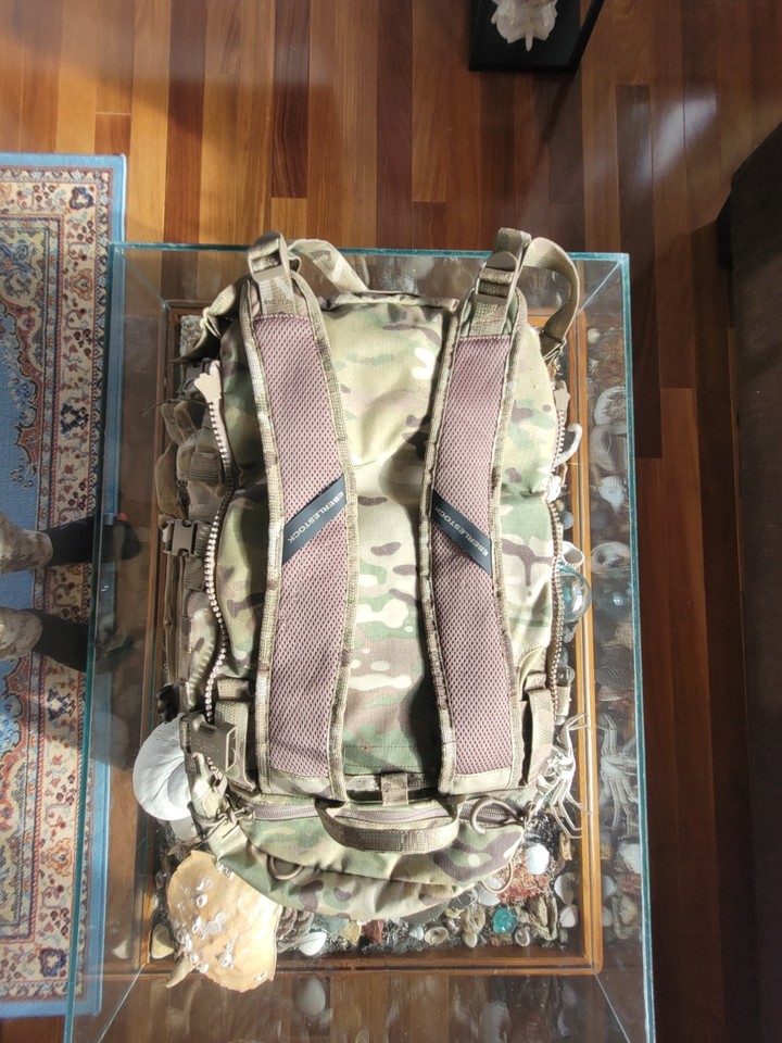 Shekkin Gears AVS MBAV, Crye g4 combat pants, Eberlestock mission ...