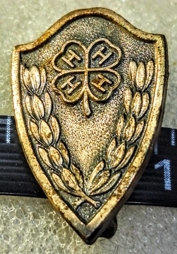 Vintage 4-H Award Pin | eBay