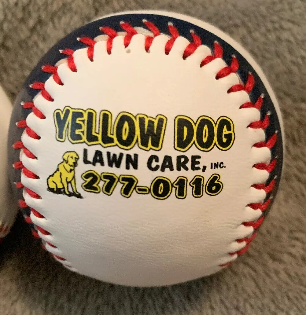 Long Island Ducks Logo 2018 Baseball ⚾️ SGA From Ball Day Atlantic ...