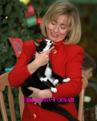 HILLARY CLINTON 8X10 Lab Photo 1990s w/ Cat Socks, Candid First Lady ...
