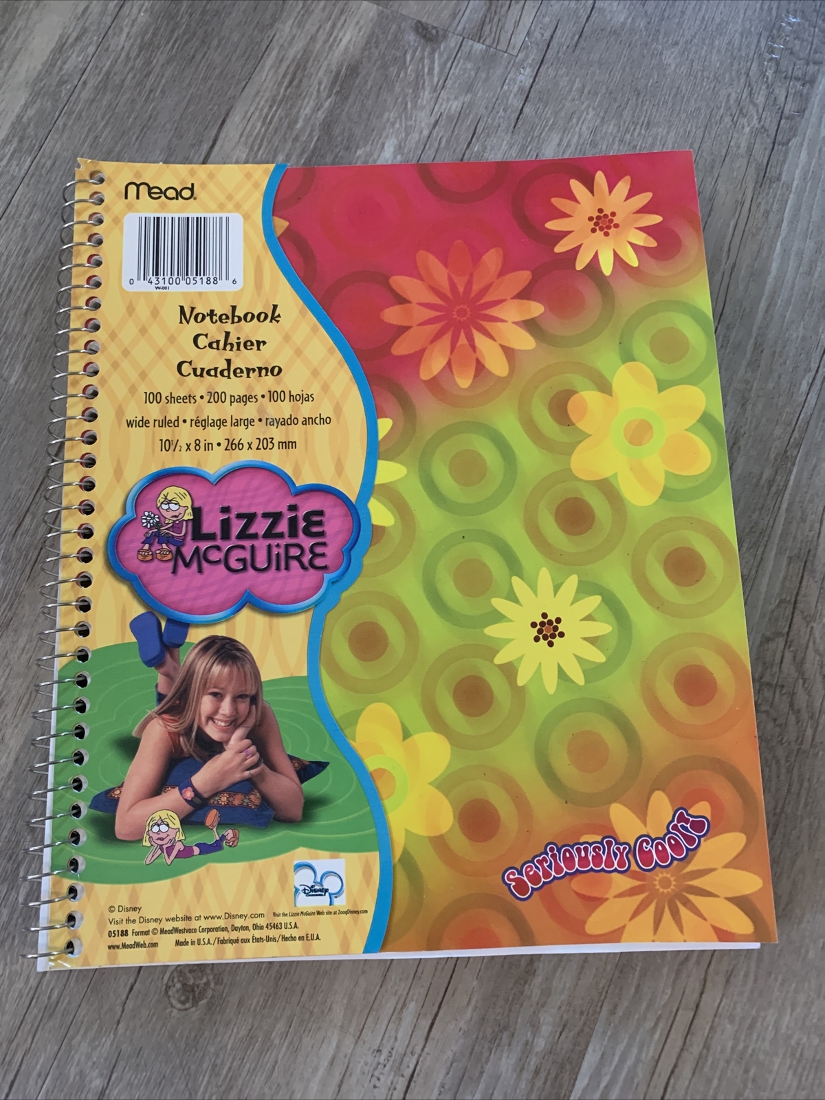Mead Disney Lizzie McGuire Notebook Hilary Duff Nostalgic Gift | eBay