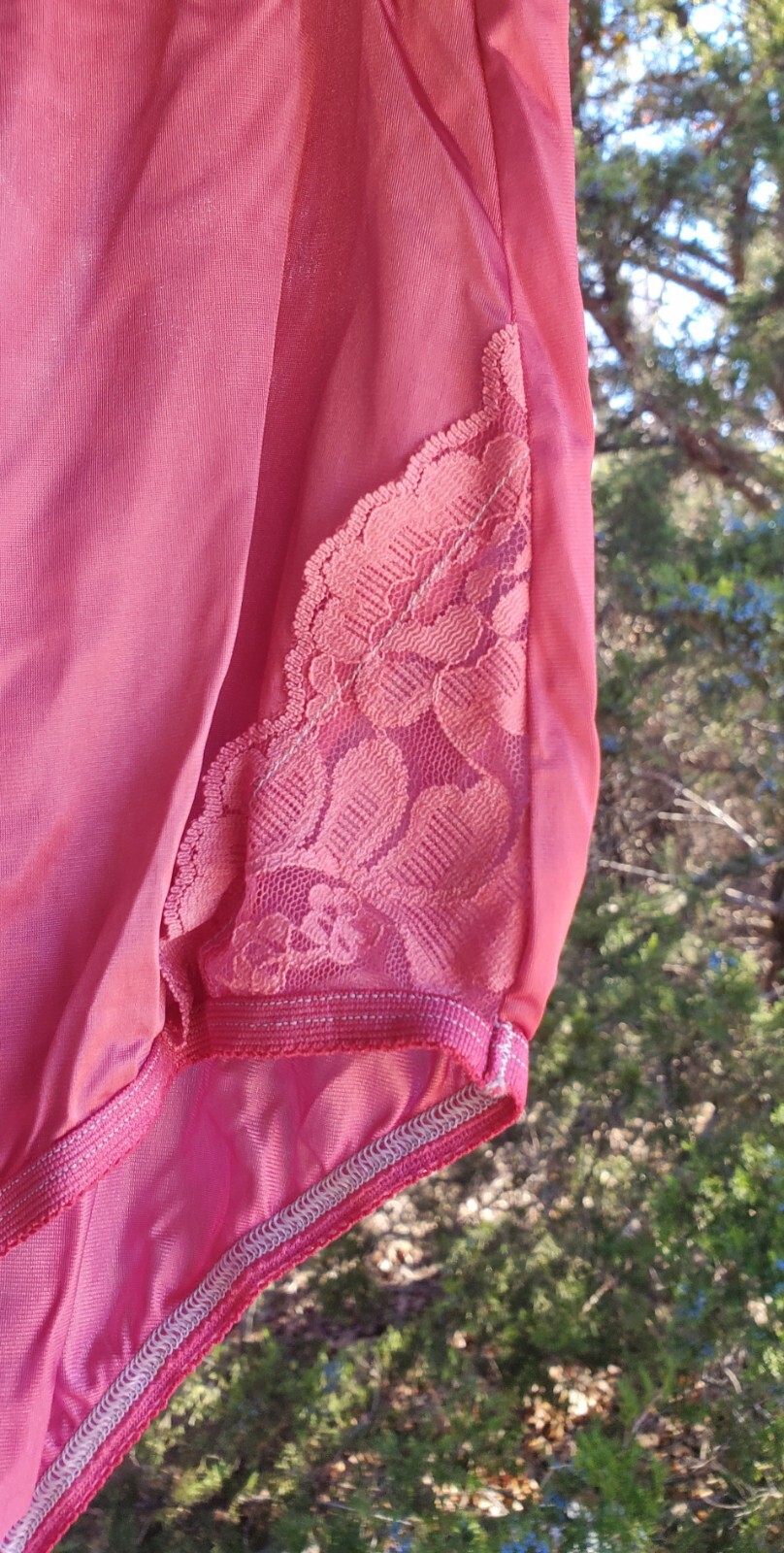 Vanity Fair Sissy Panty LACE Nouveau 6/M PINK Illusio… - Gem