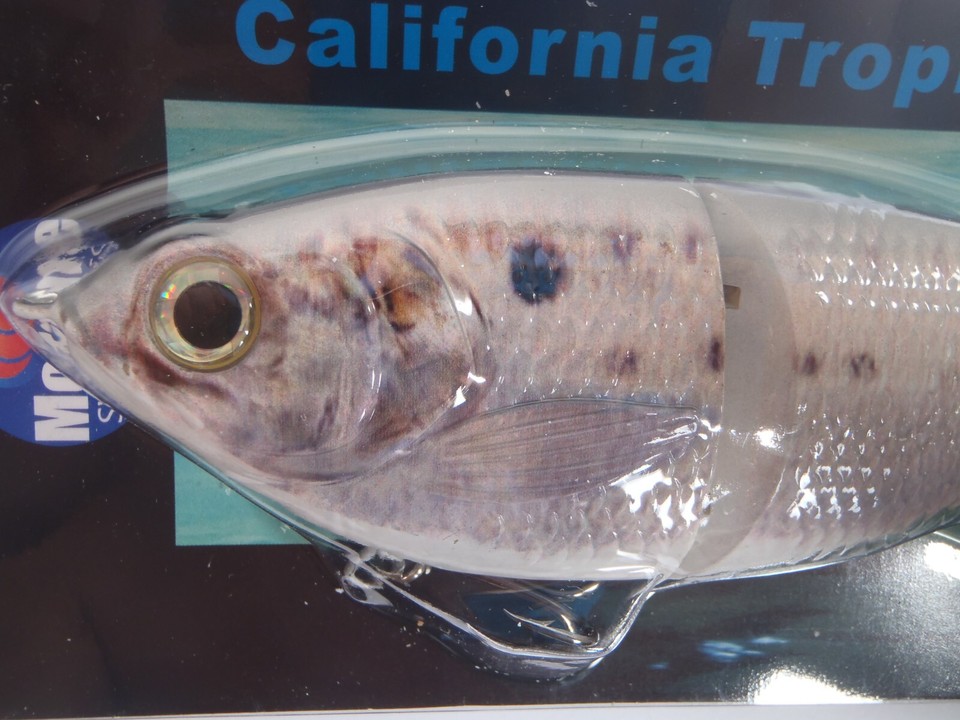 Morone Swimbaits Two Mendo Shine Gizzard Shad Threadfin Vector Tail 7 ...