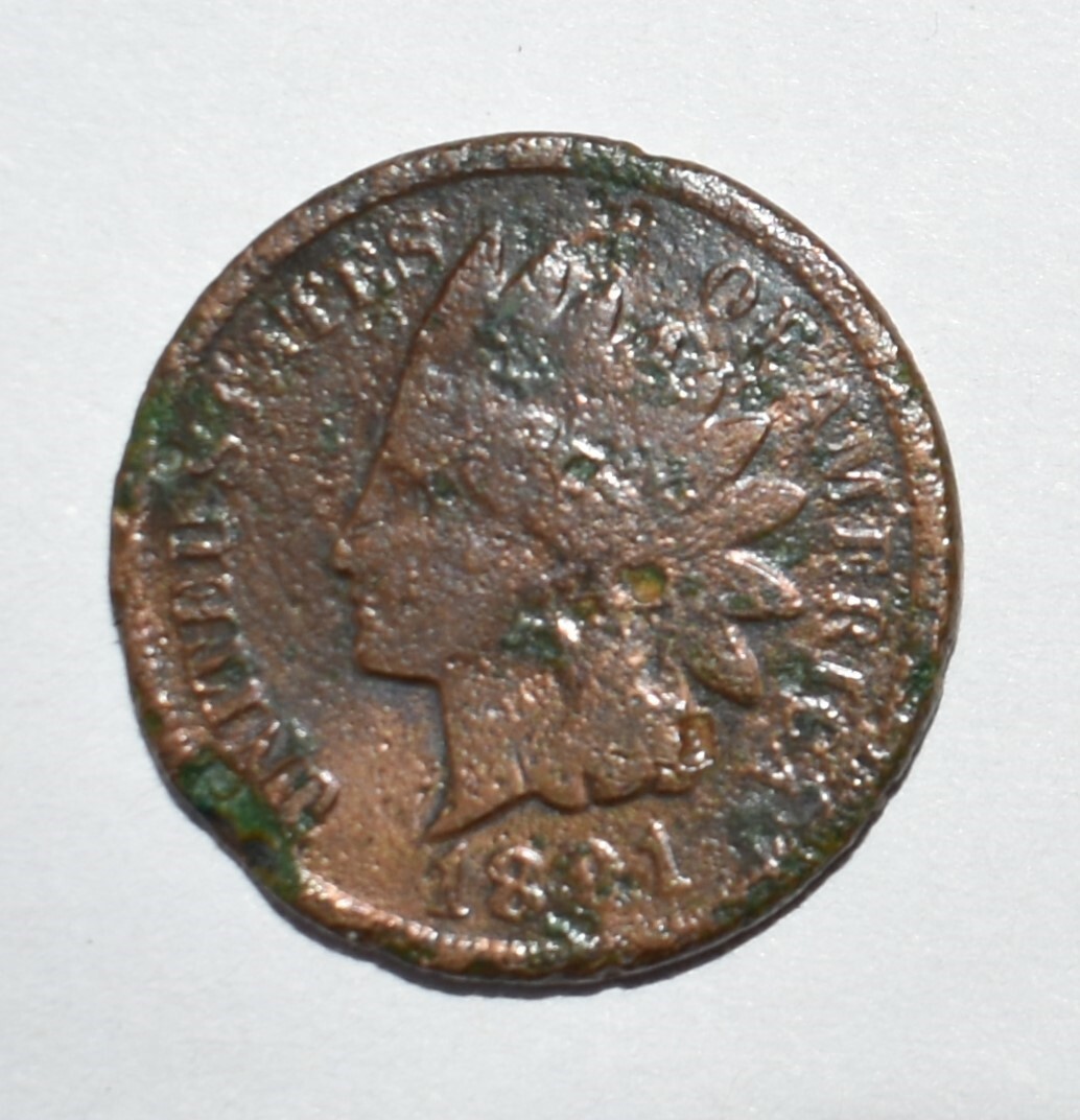 1891 Indian Head Penny One Cent Error Snow Debris RPD Enuling Error | eBay