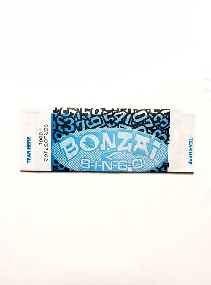 1 on Single Face Bingo Folded/Sealed Paper Cards- Pack of 500- Bonzai ...