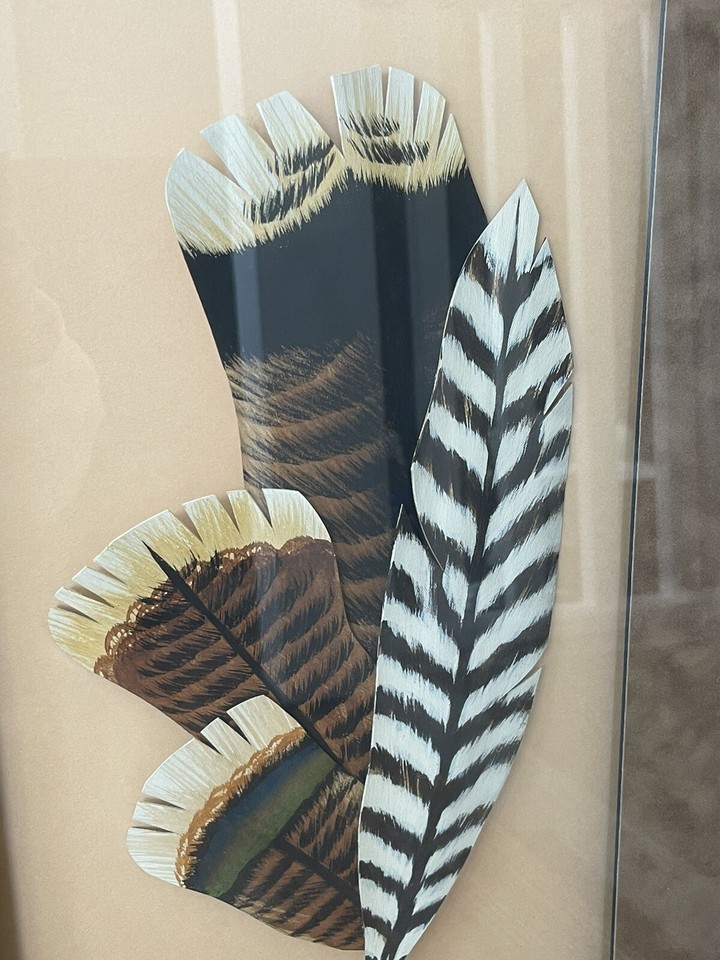 NWTF Framed Hand Carved Turkey Feather Print Art Work Rio Grande 2075/ ...