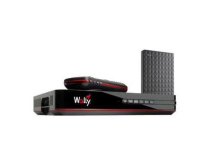Pace International WALLY-DVRBUNDLE, 1TBHD Mobile Wally DVR Bundle | eBay
