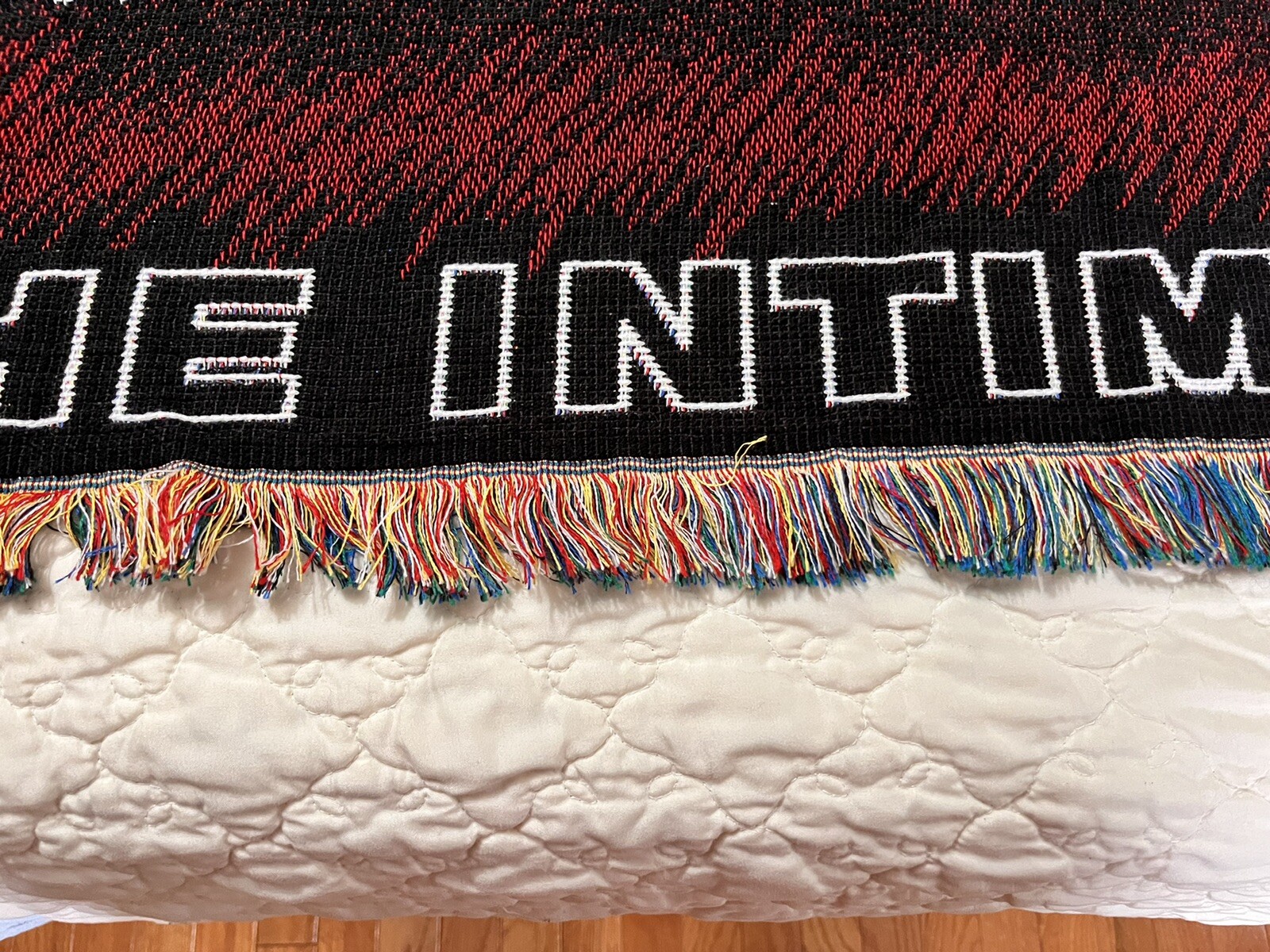 DALE EARNHARDT SR TATESTRY BLANKET THE INTIMIDATOR 3 THE NORTHWEST CO ...