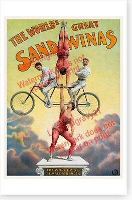 Retro Victorian Circus The Great Sandwinas Strong Woman Katie Sandwina ...