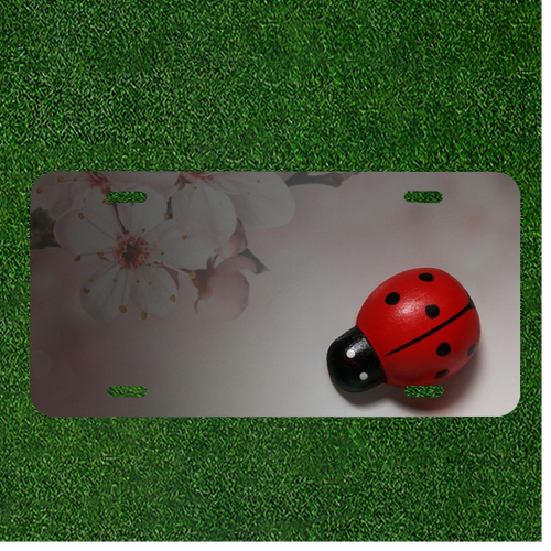 Custom Personalized License Plate Auto Tag With Lady Bug Add Names | eBay