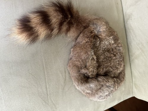 Coonskin Cap Davey Crockett Real Fur Tail Raccoon Youth Small Daniel ...