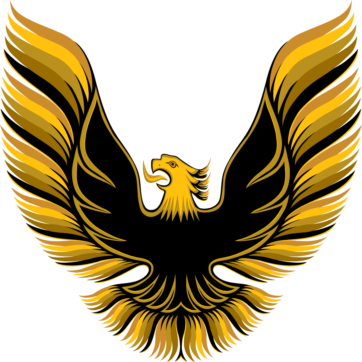 Trans Am Logo Vector Student Placement Supports New My Place Workshops