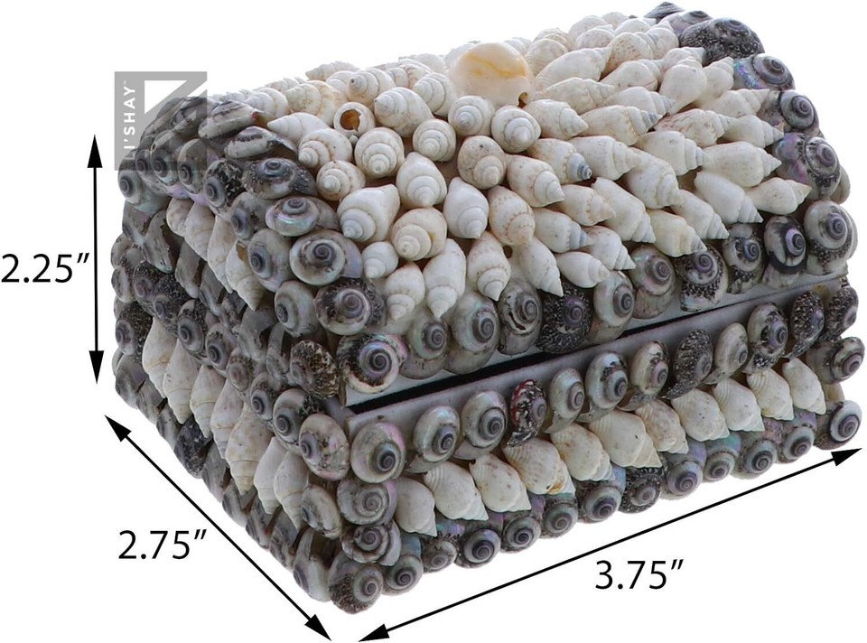 Li'Shay Nassa Shell Dome Trinket Box-White | eBay