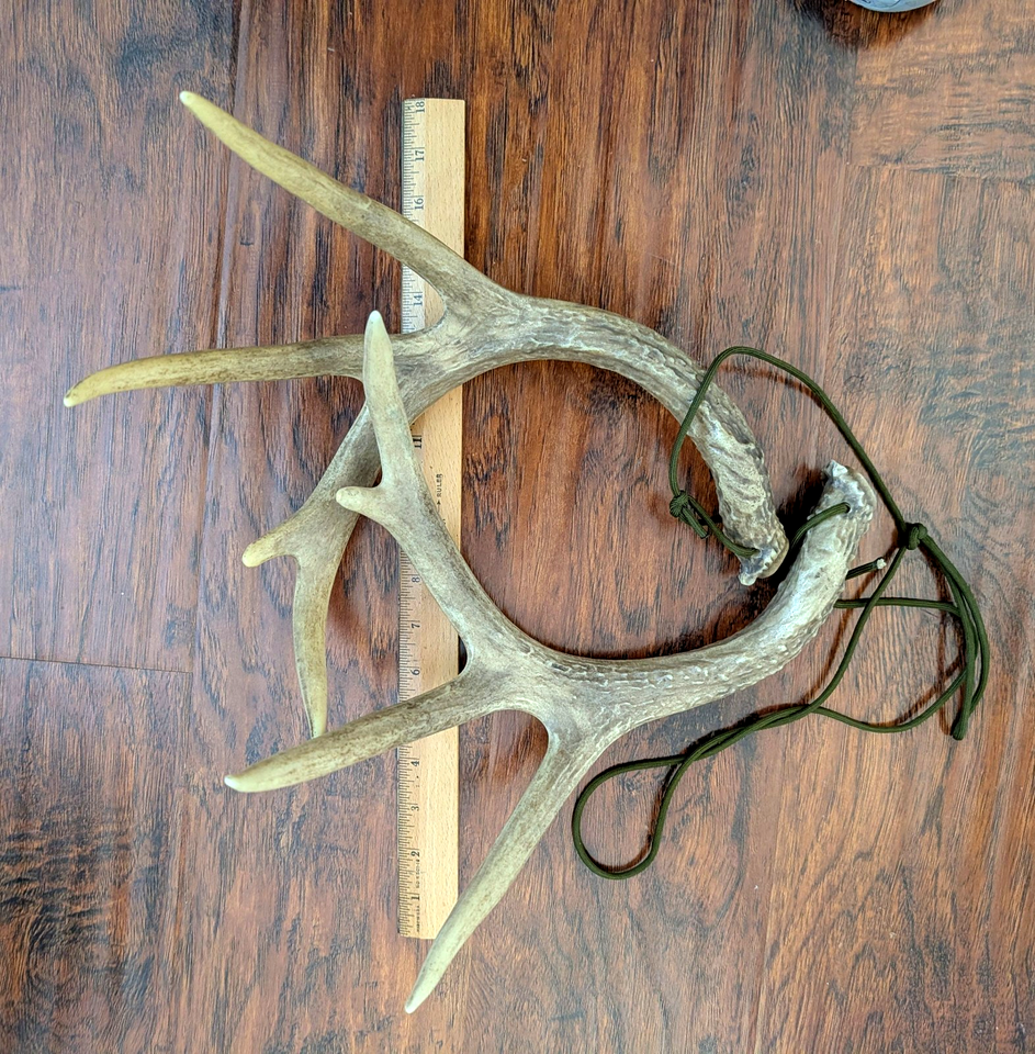 Rattling Fightin' Synthetic Deer Antlers Horns Buck Deer Hunting Call ...